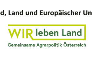 Goggausee - Mini-Fjord im Wimitztal