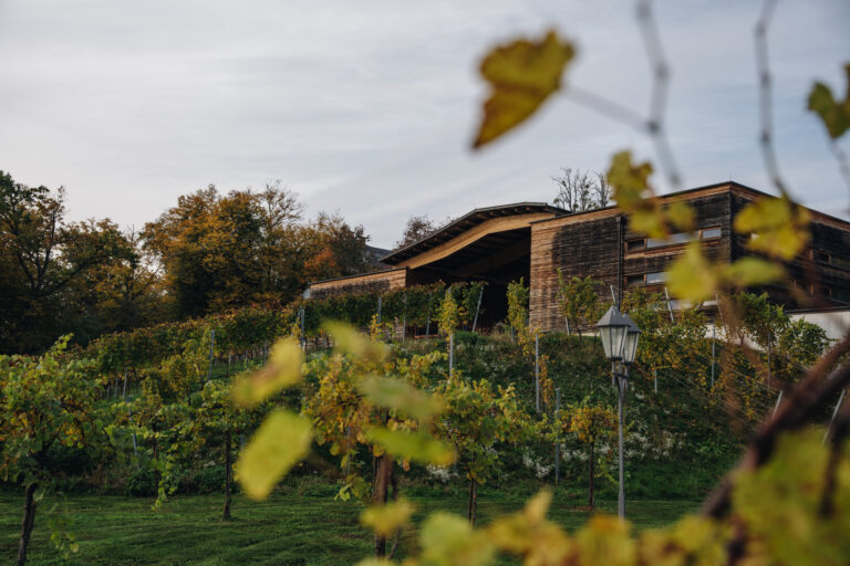 Weingut Burg Taggenbrunn - Weinverkostung mit Charme
